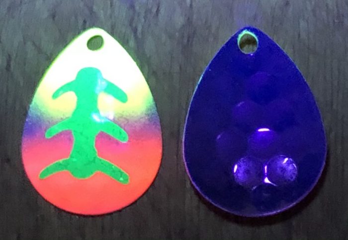 Copper Polly | Osprey Guide Adventures